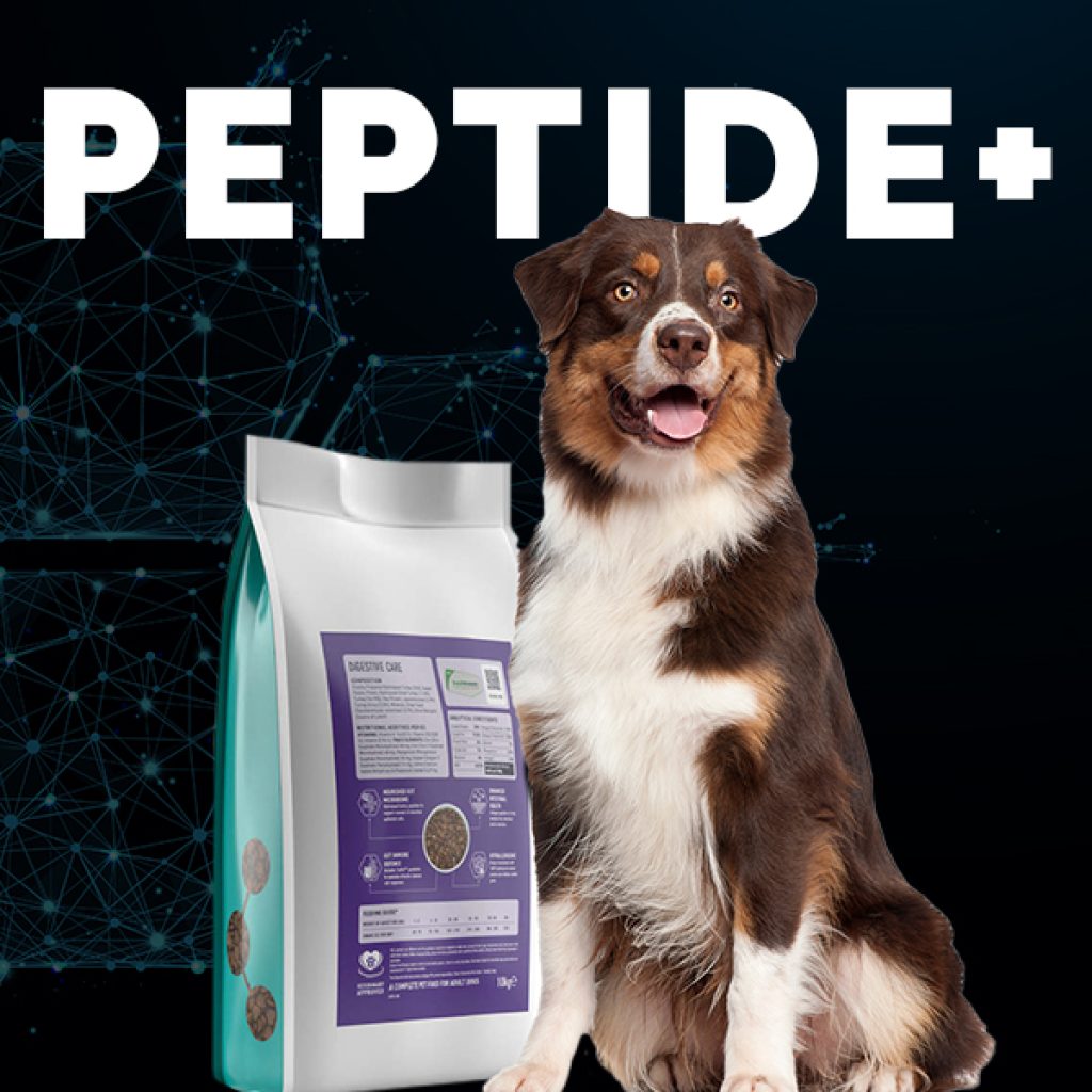 Peptide+ Skin & Coat Care With Hydrolysed Salmon - The Dog Man's Choice